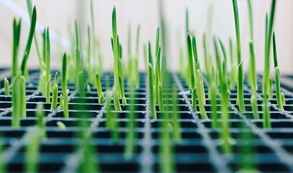 Hitachi Air Conditioning Hållbara lösningar I Hitachi Sweden