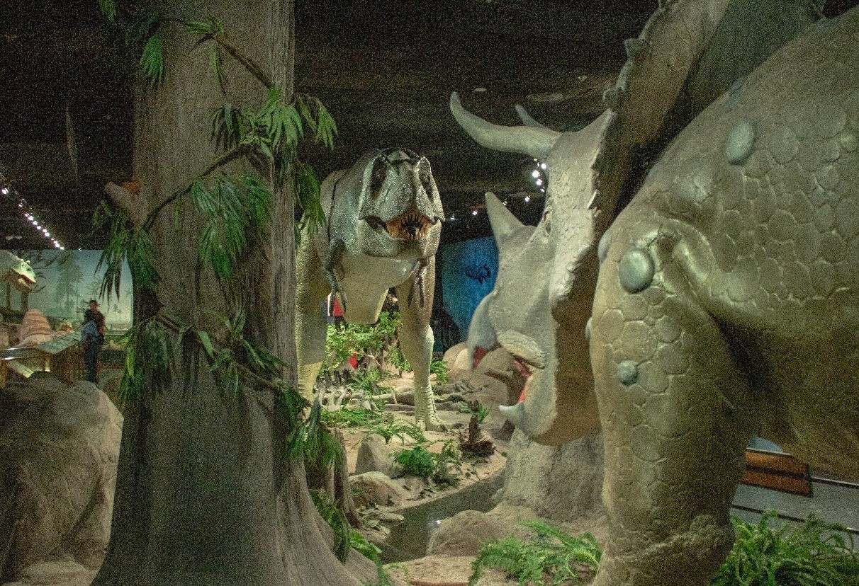 Las Vegas Natural History Museum | Hitachi Topflow VRF Heat Pump ...