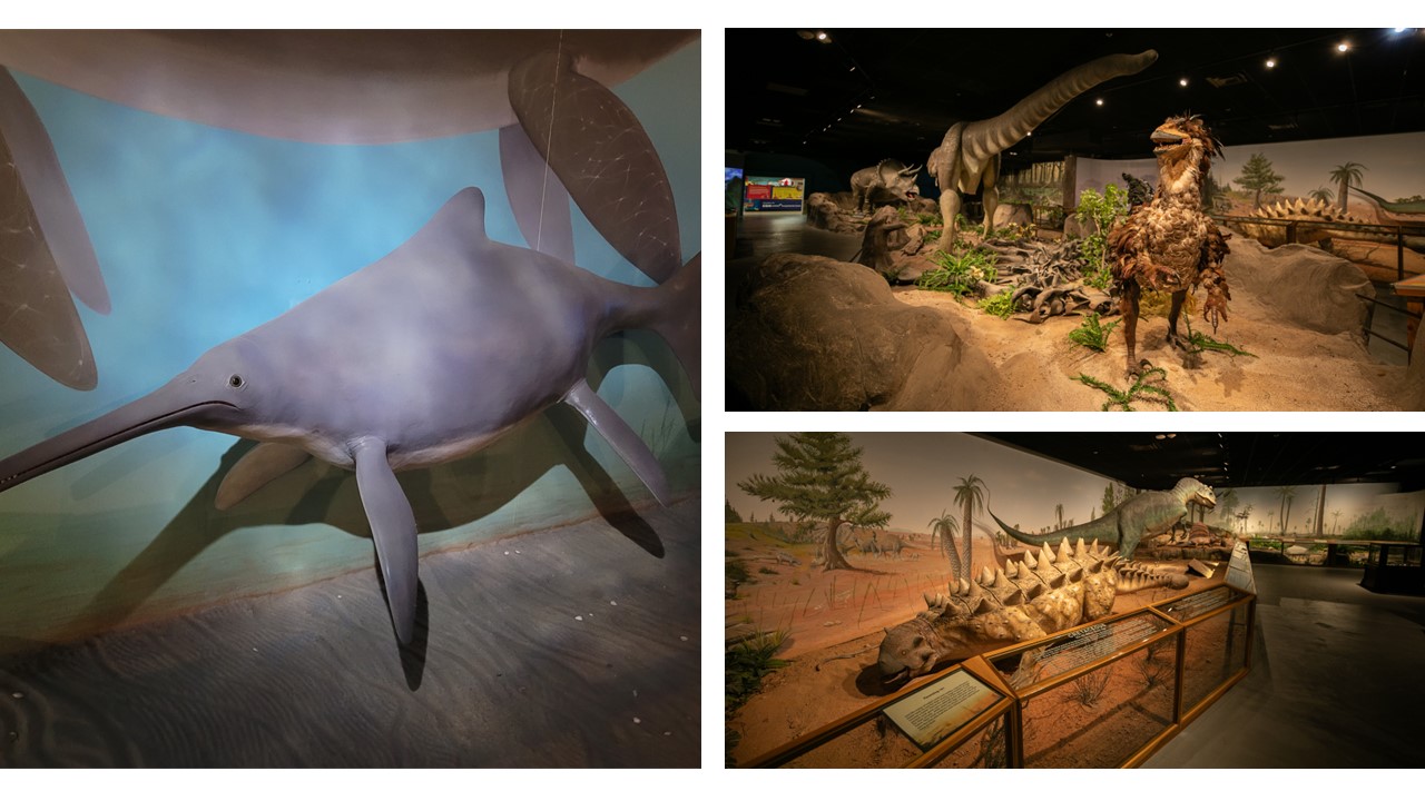 Las Vegas Natural History Museum | Hitachi Topflow VRF Heat Pump ...