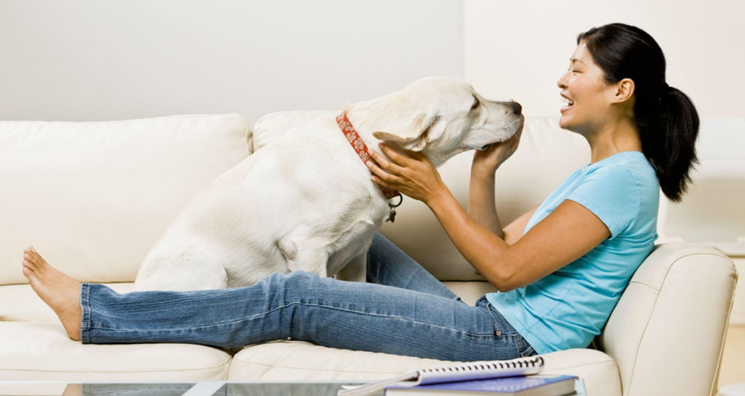 A Step-by-Step Guide on How to Clean Your Heat Pump | hitachiaircon.com