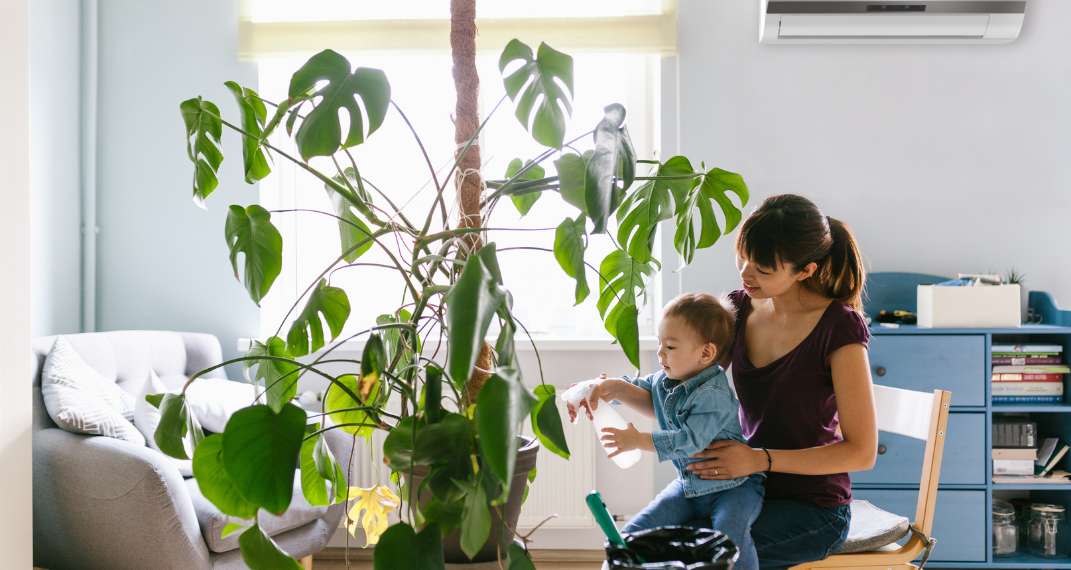 What’s the Ideal Indoor Humidity and How Can It Be Managed ...